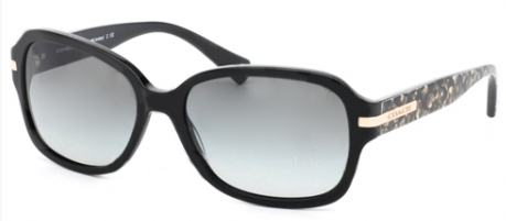 Coach HC8105F - L546 Amber sunglasses | ShadesEmporium